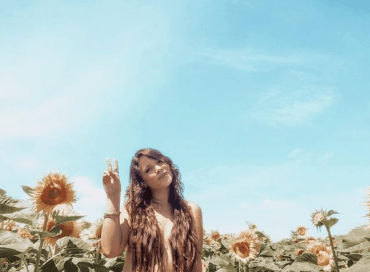 5 Sunflower Fields Near Sacramento